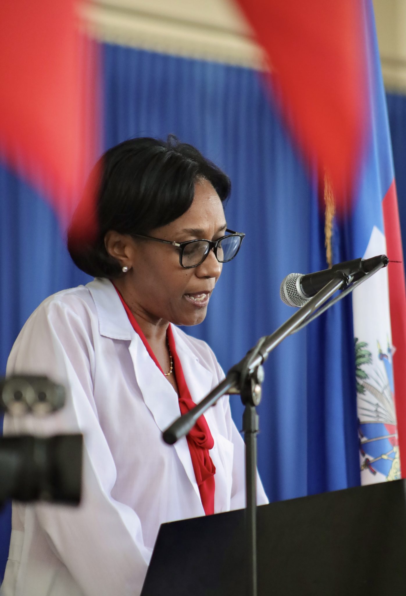 La situation catastrophique de l’environnement en Haïti, un défi majeur ...