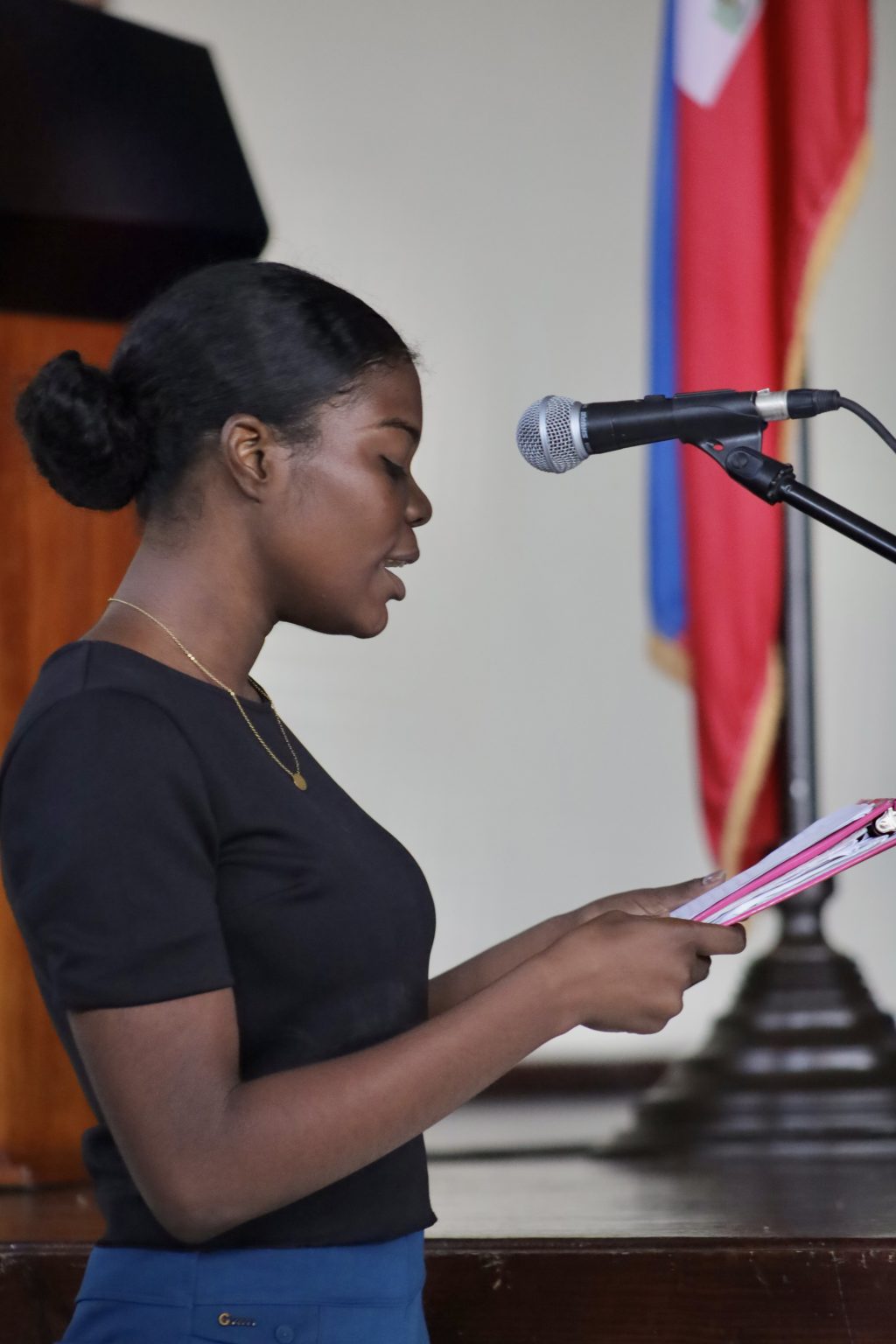 La situation catastrophique de l’environnement en Haïti, un défi majeur à relever pour s’assurer ...